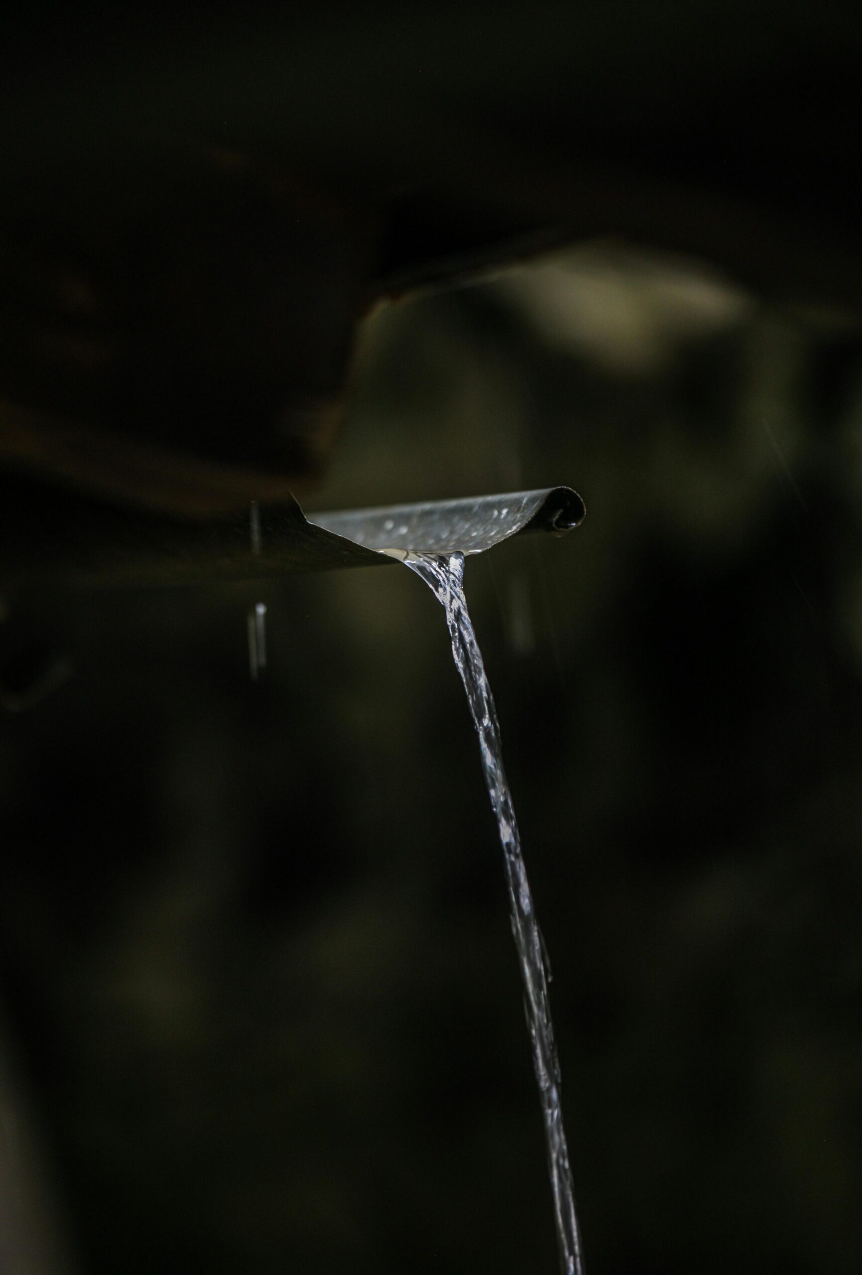 Découvrez Notre Réseau d'Experts en Eau de Pluie - Perperuna ...